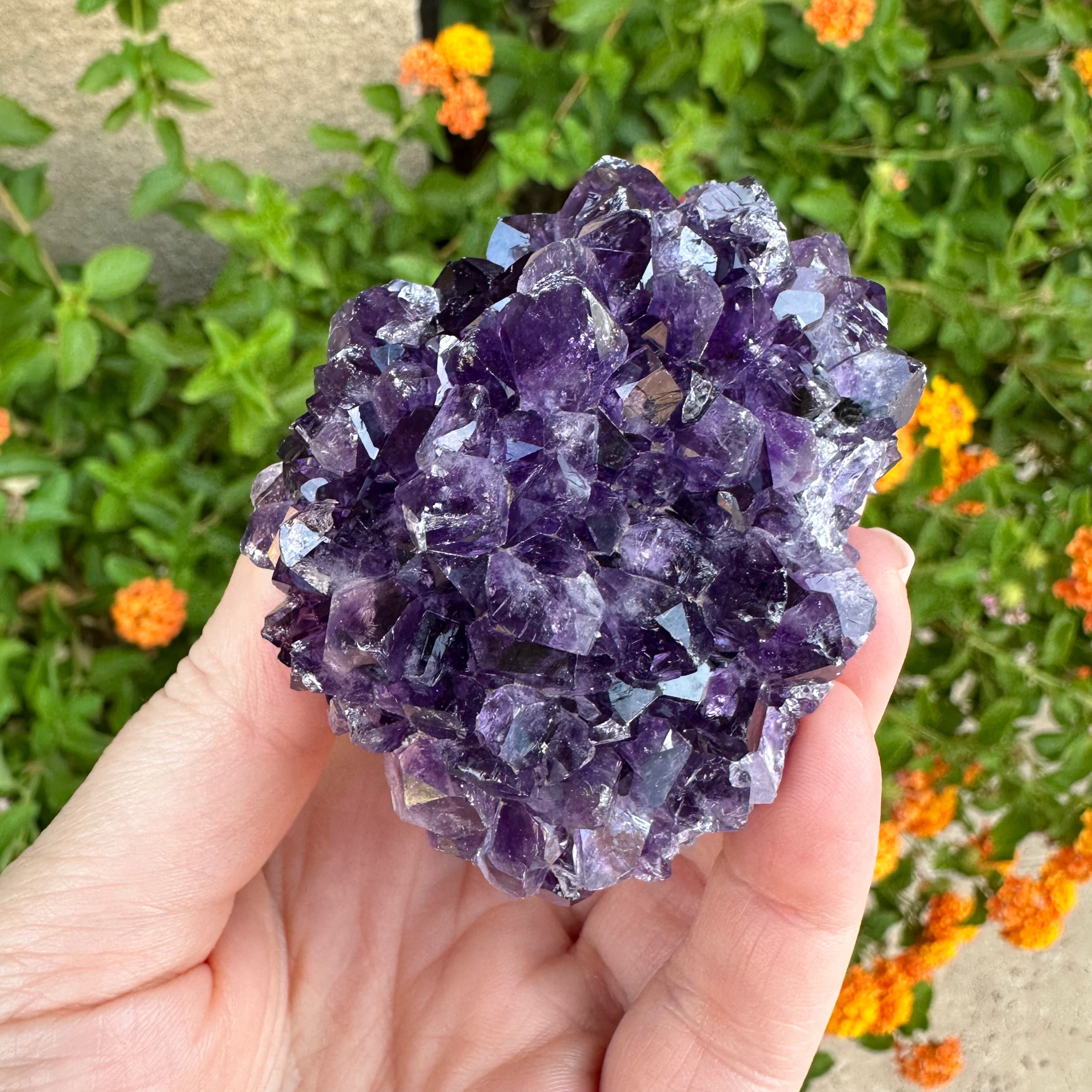 Amethyst Geode Raw Flower – Luscious Earth Creation