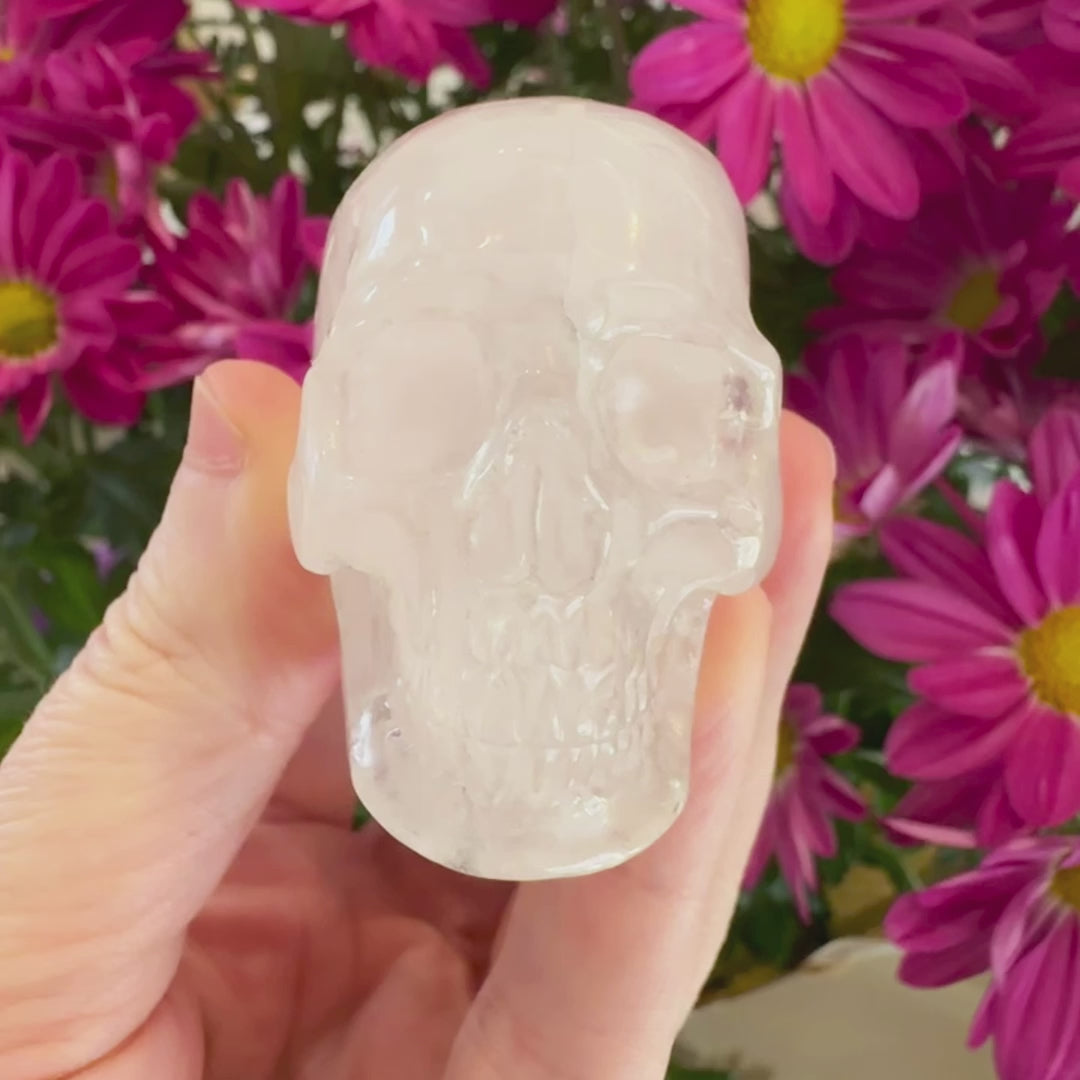 Quartz Crystal Skull Small – Luscious Earth Creation