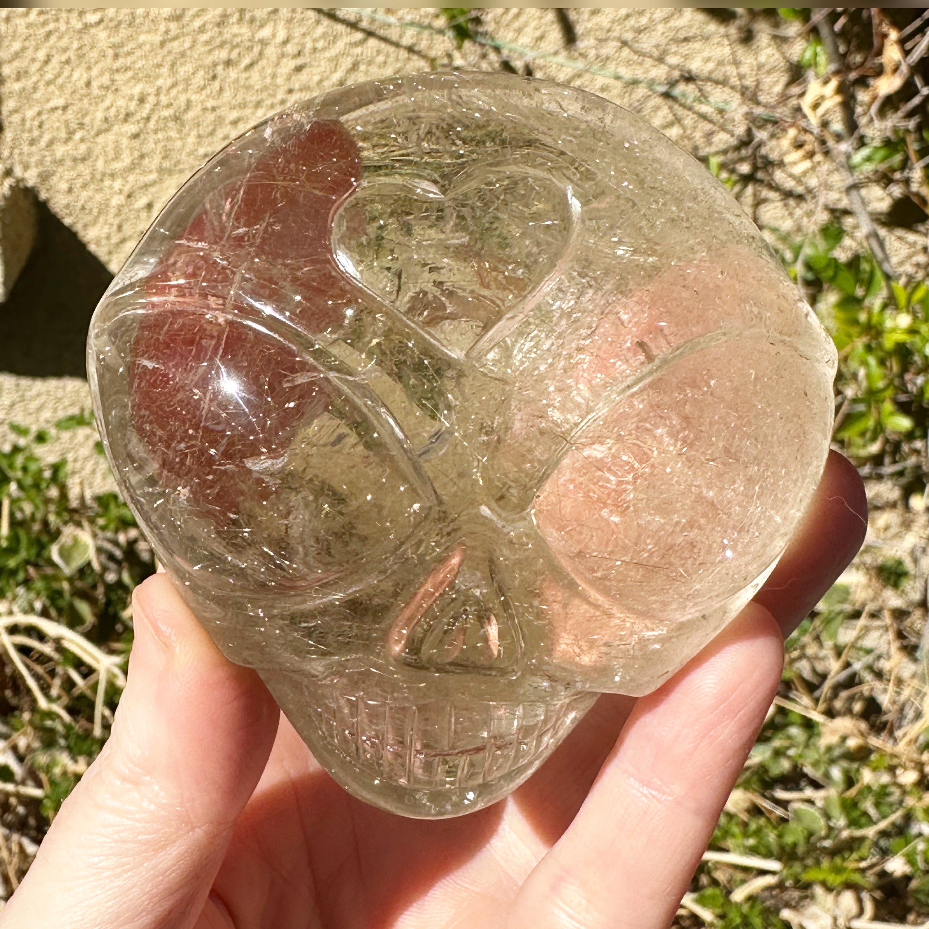 Golden Rutile Citrine Starchild Crystal Skull Carved by Leandro de Sou ...