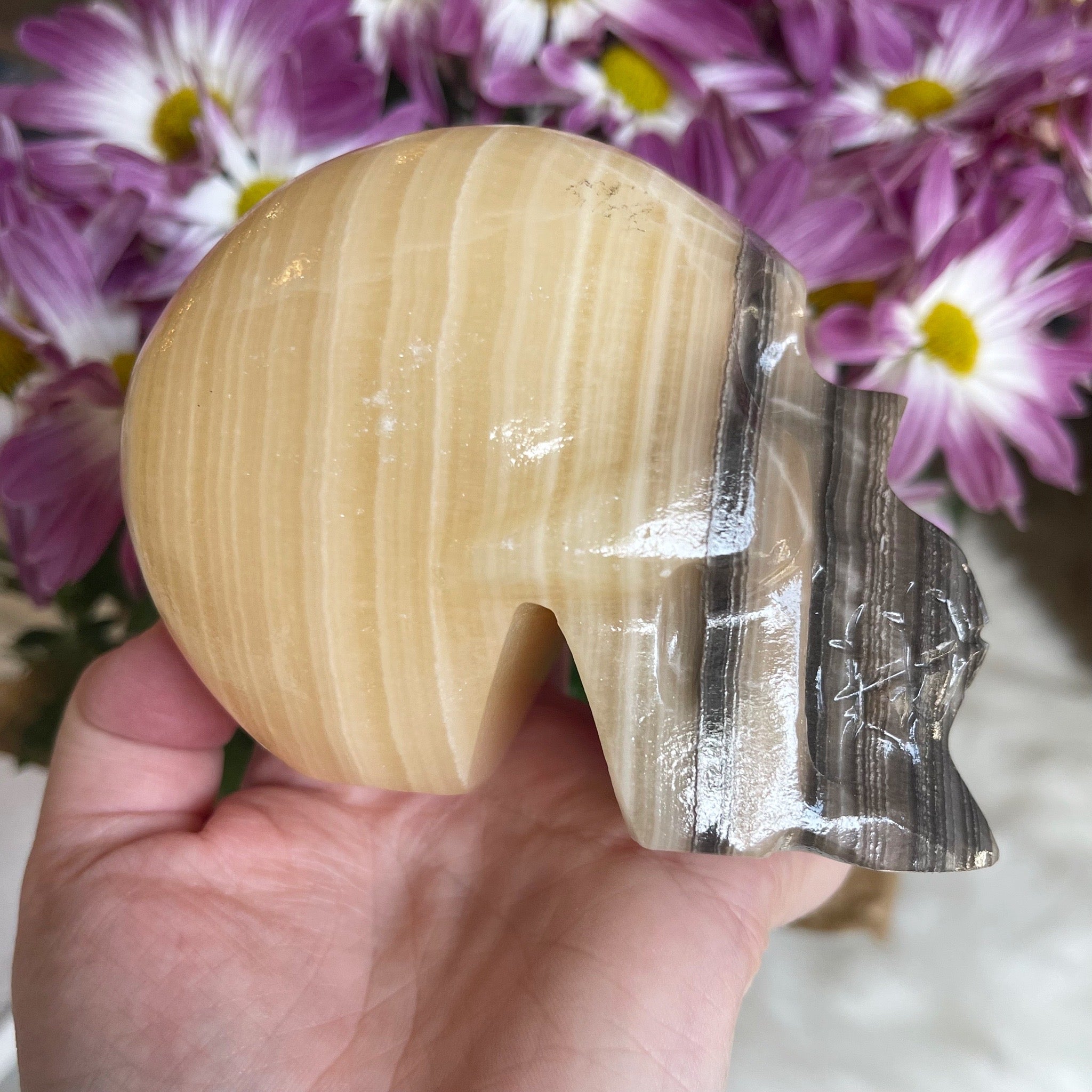 Banded Calcite Crystal Skull – Luscious Earth Creation